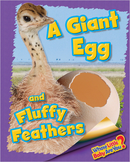 A Giant Egg and Fluffy Feathers (Ostrich) by Ellen Lawrence | Goodreads