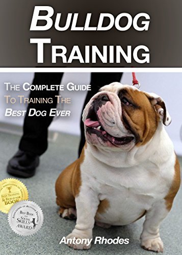 How Do You Train A Bulldog