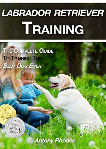 Labrador Retriever Training: The Complete Guide To Training the Best ...