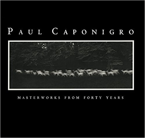 Paul Caponigro: Masterworks from Forty Years by Paul Caponigro | Goodreads