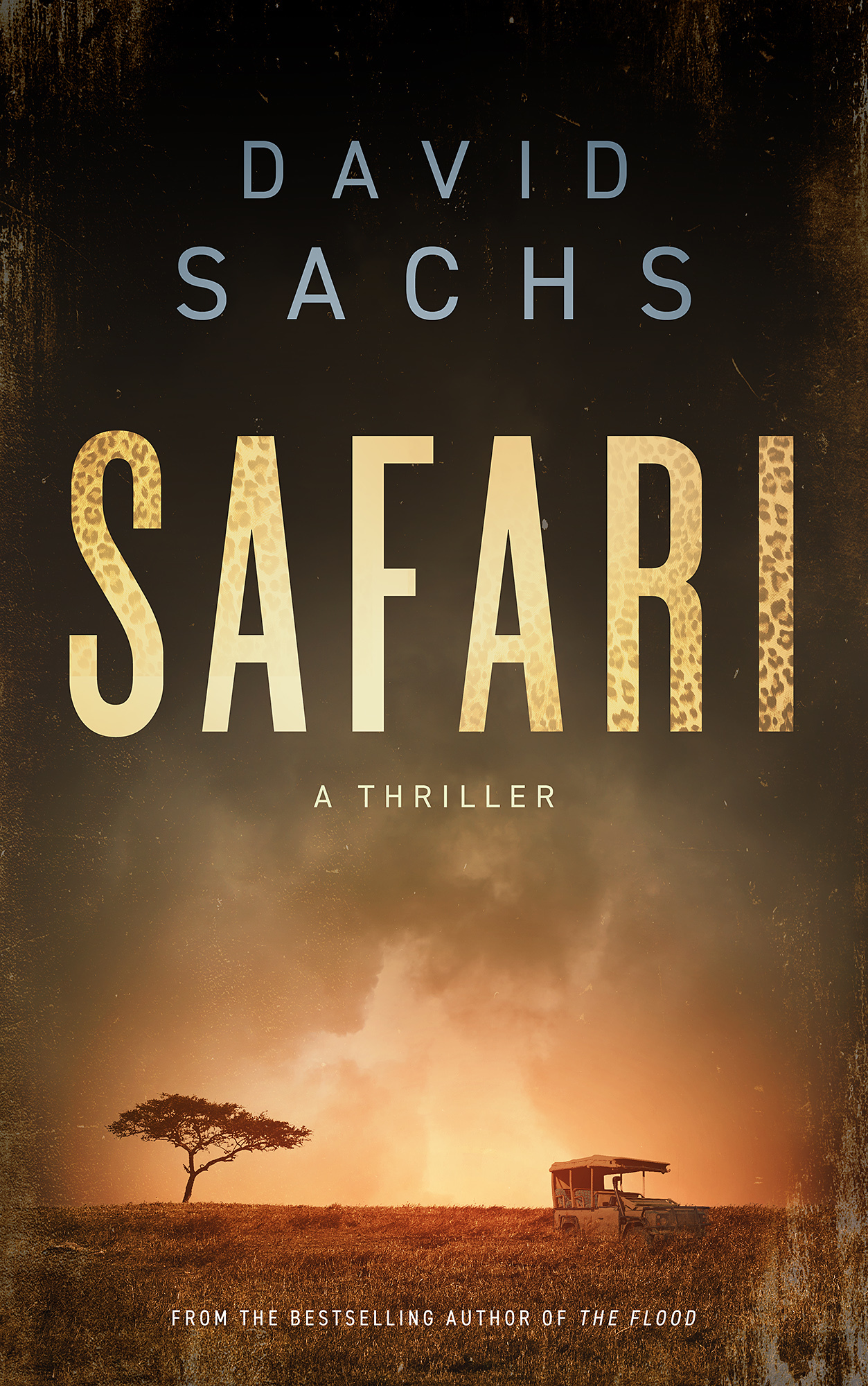 Safari by David Sachs | Goodreads