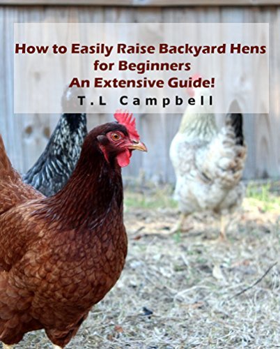 How to Easily Raise Backyard Chickens and Hens For Beginners: An ...