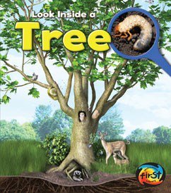 Look Inside a Tree by Richard Spilsbury | Goodreads