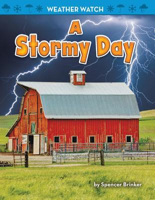 A Stormy Day - Nonfiction Reading for Grade 1 with Vibrant ...