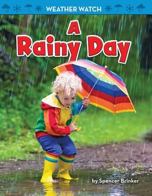 A Rainy Day - Nonfiction Reading for Grade 1 with Vibrant Illustrations ...