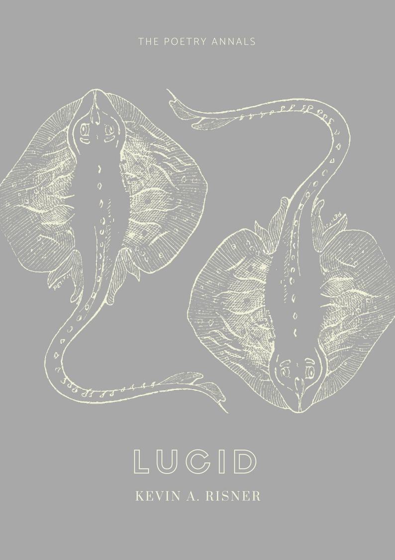 Lucid by Kevin A. Risner | Goodreads