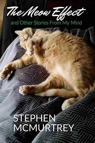 The Meow Effect: And Other Stories From My Mind by Stephen McMurtrey ...