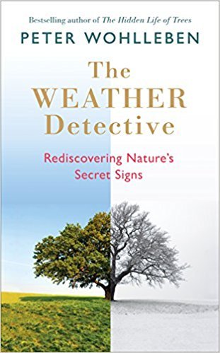 The Weather Detective: Rediscovering Nature's Secret Signs by Peter ...