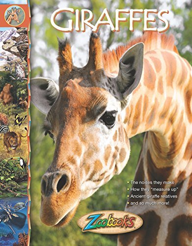 Giraffes (Zoobooks) by John Bonnett Wexo | Goodreads