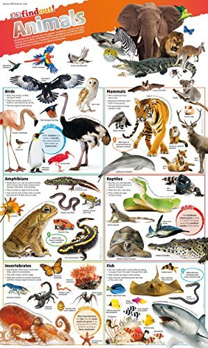 Animals Poster by D.K. Publishing | Goodreads