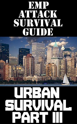 EMP Attack Survival Guide Part III: The Ultimate Beginner’s Guide On ...
