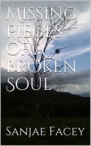 Missing Pieces of A Broken Soul: From death to rebirth by Sanjae Facey ...
