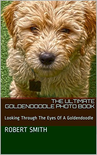 The Ultimate Goldendoodle Photo Book: Looking Through The Eyes Of A ...