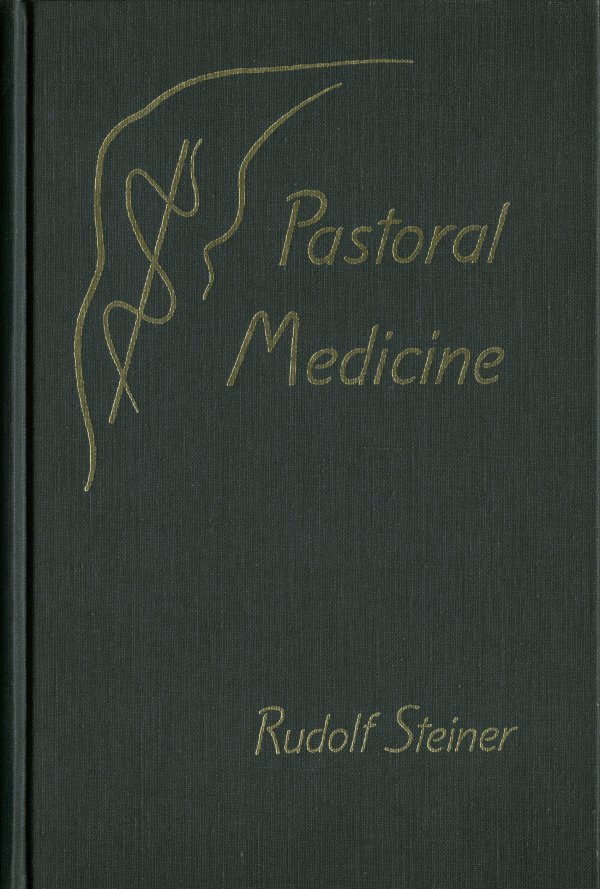 Pastoral Medicine: The Collegial Working Of Doctors And Priests by ...