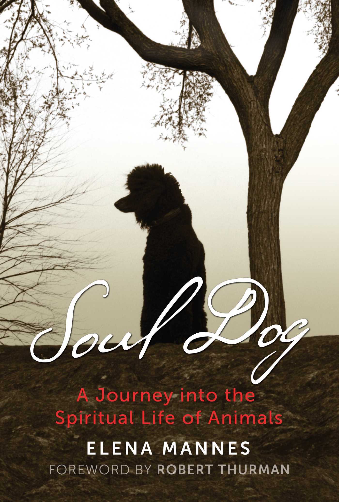 Soul Dog: A Journey into the Spiritual Life of Animals by Elena Mannes ...