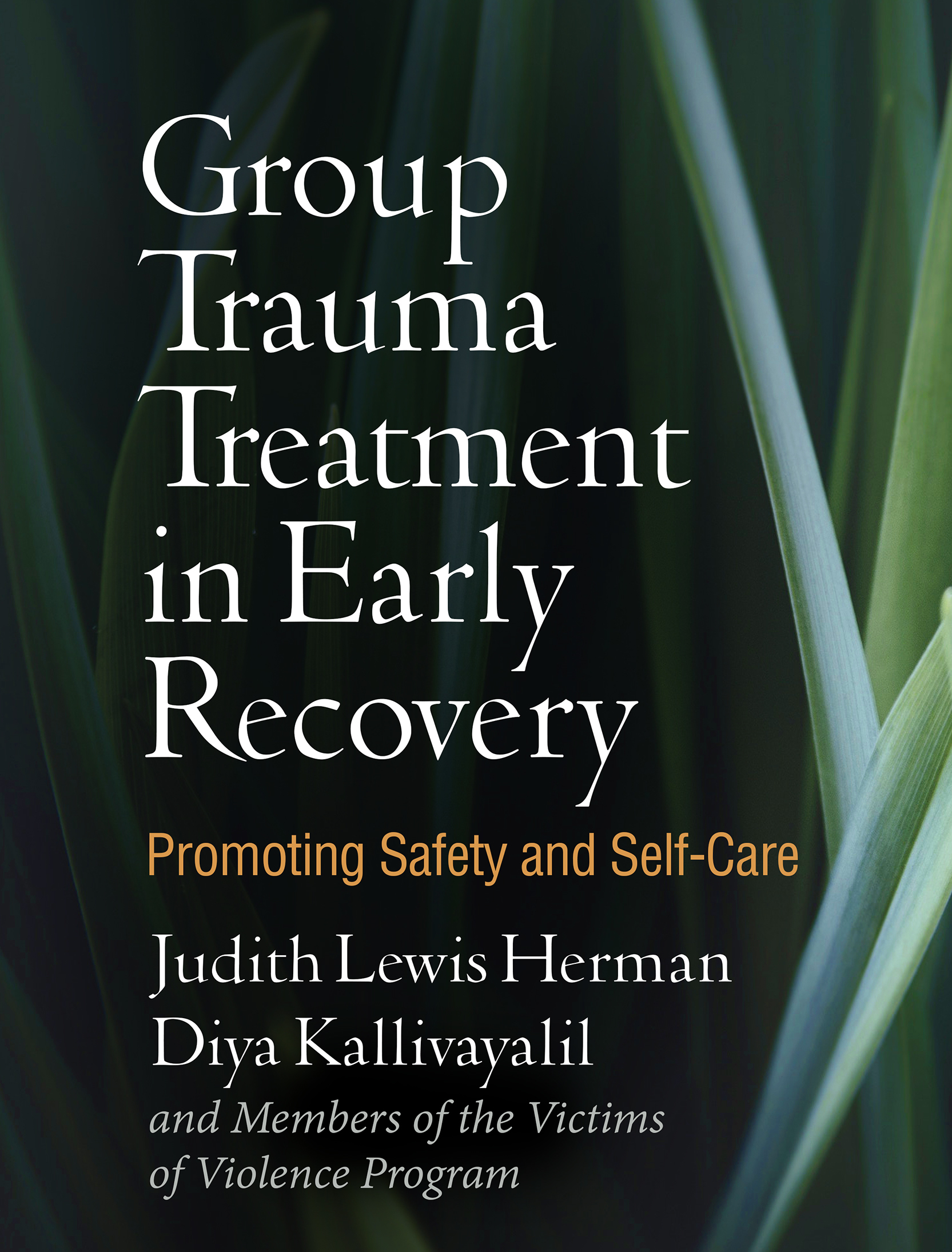 Group Trauma Treatment in Early Recovery: Promoting Safety and Self ...