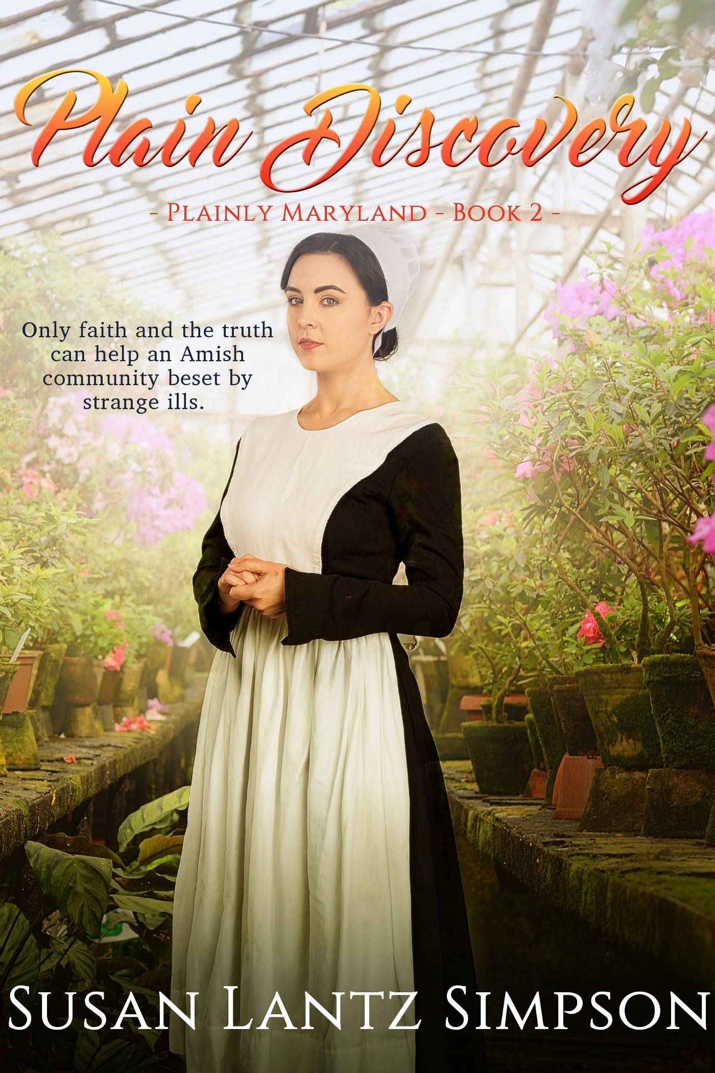 Plain Discovery (Plainly Maryland #2) by Susan Lantz Simpson | Goodreads