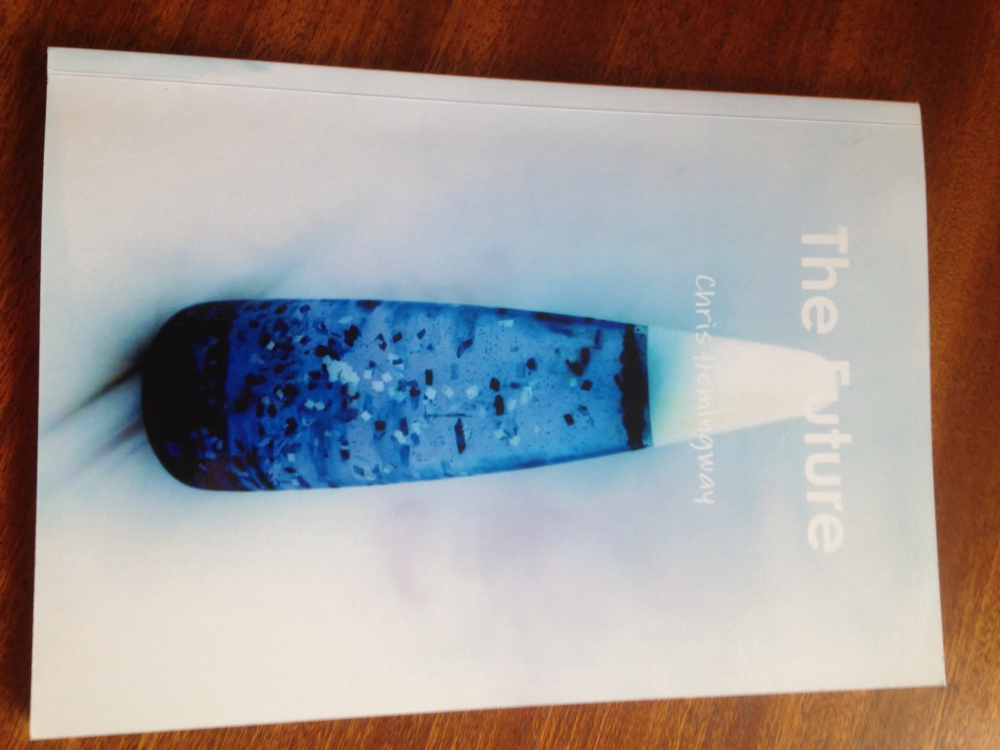 The Future by Chris Hemingway | Goodreads