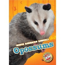Opossums (North American Animals) by Betsy Rathburn | Goodreads