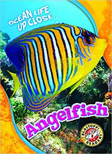 Angelfish (Ocean Life Up Close) by Nathan Sommer | Goodreads