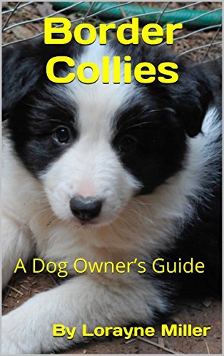 Border Collies : A Dog Owner’s Guide by Lorayne Miller | Goodreads