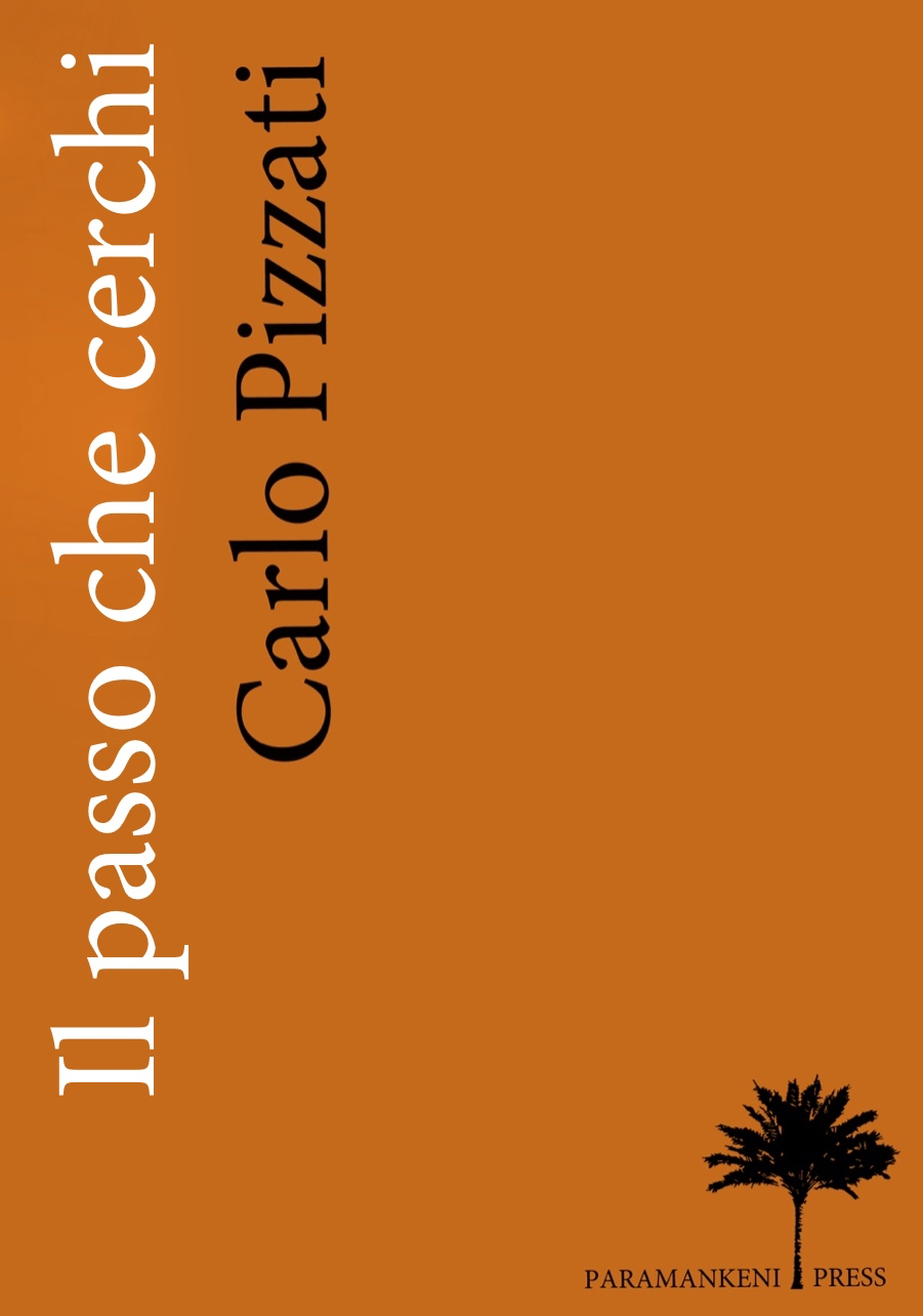 Il passo che cerchi by Carlo Pizzati | Goodreads