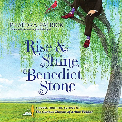 Rise and Shine, Benedict Stone by Phaedra Patrick | Goodreads