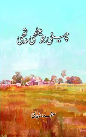 Cheeni Jo Meethi Na Thi - چینی جو میٹھی نہ تھی by Safdar Zaidi | Goodreads
