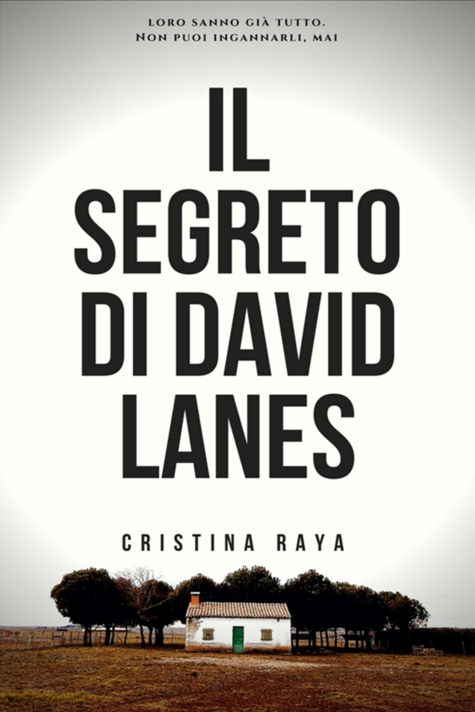 Il segreto di David Lanes by Cristina Raya | Goodreads
