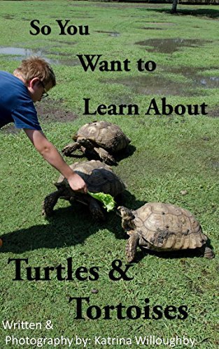 So You Want to Learn About Turtles & Tortoises by Katrina Willoughby ...
