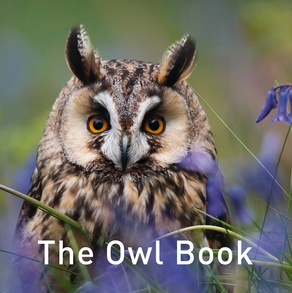The Owl Book (The Nature Book Series) by Russ Jane | Goodreads