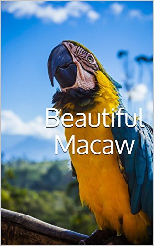 Beautiful Macaw: Photobook of variety macaws around the world by Arika ...