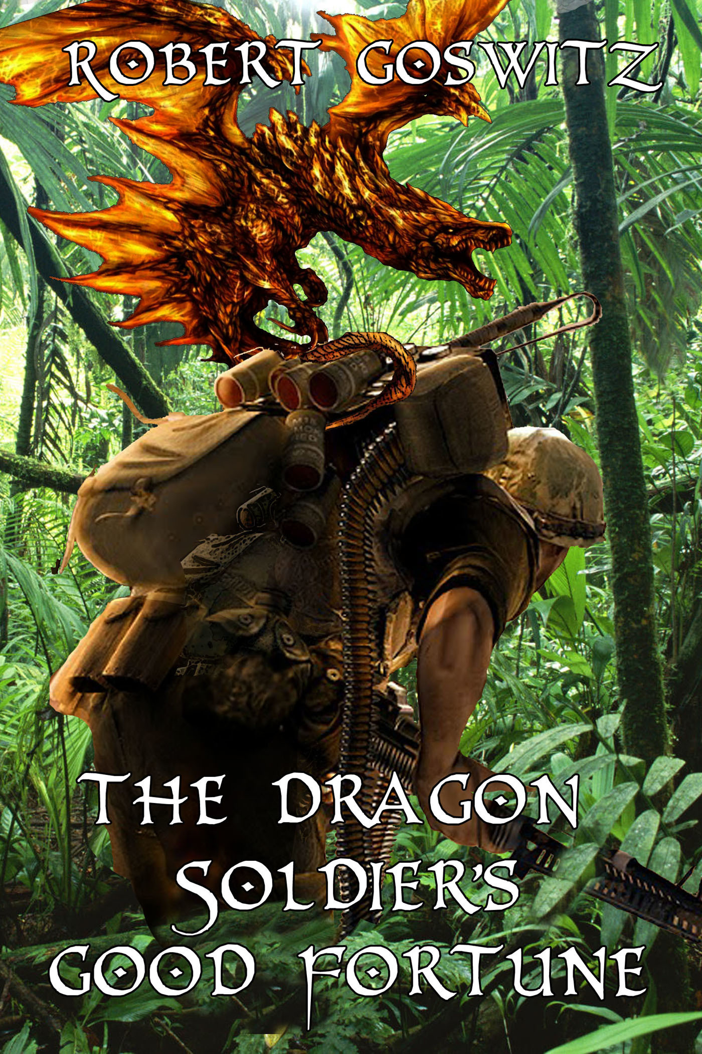 The Dragon Soldier's Good Fortune by Robert Goswitz | Goodreads
