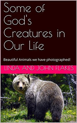 Some of God's Creatures in Our Life: Beautiful Animals we have ...