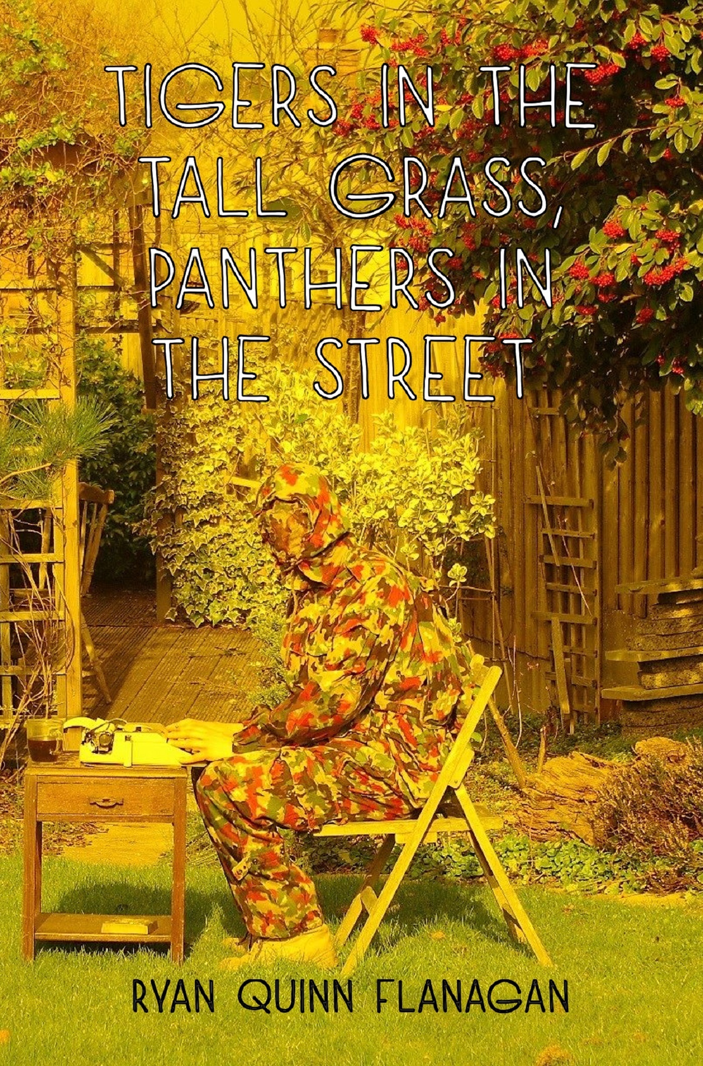 Tigers in the Tall Grass, Panthers in the Street by Ryan Quinn Flanagan ...