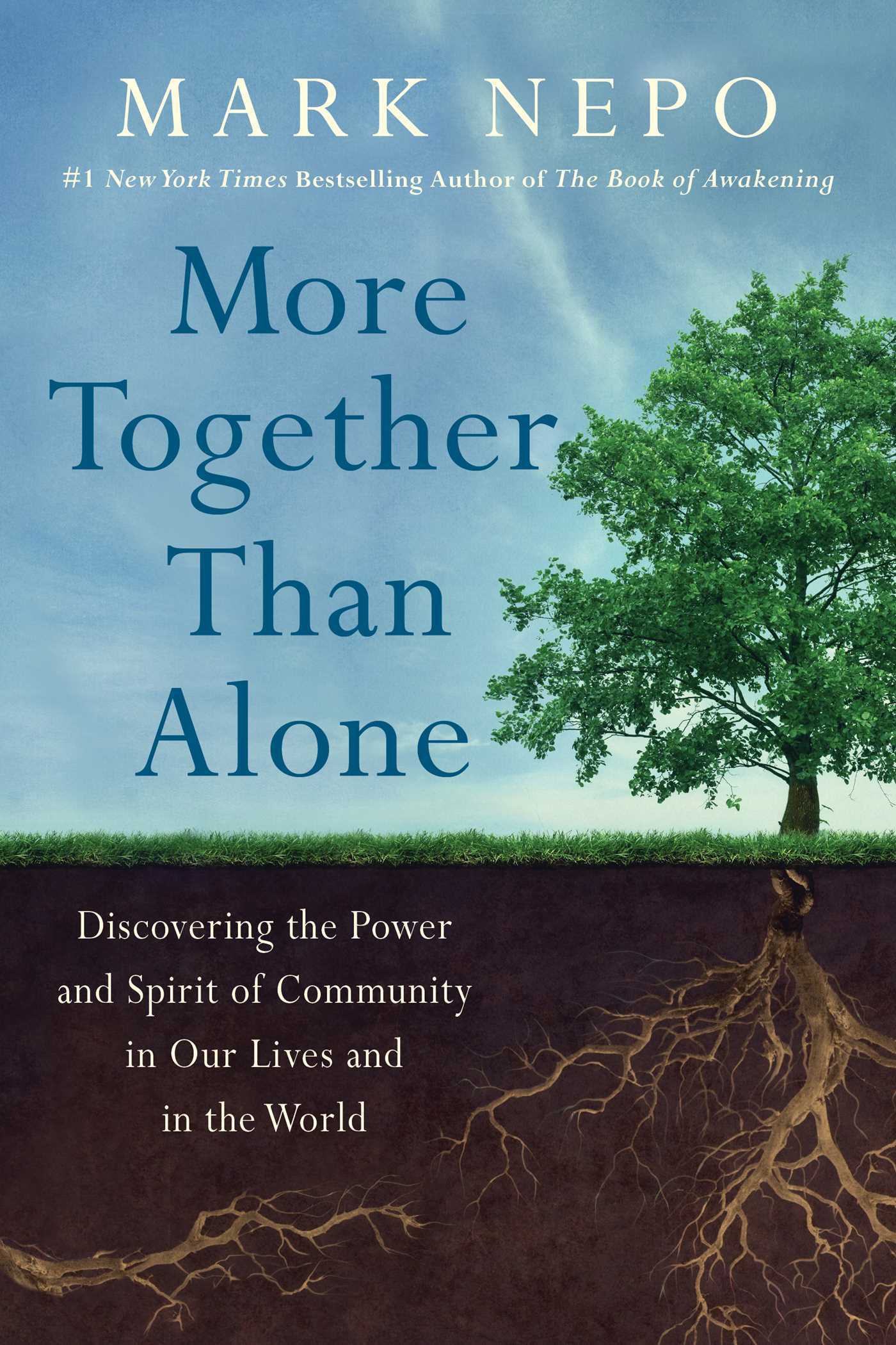 More Together Than Alone: Discovering the Power and Spirit of Community ...