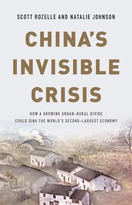 China's Invisible Crisis: How a Growing Urban-Rural Divide Could Sink ...