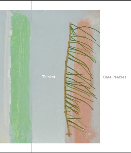 Thicket by Cate Peebles | Goodreads