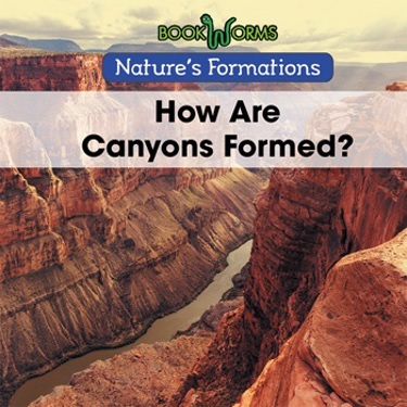 How Are Canyons Formed? (BookWorms: Nature's Formations) by B.J. Best ...