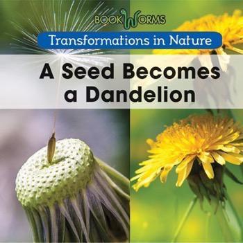 A Seed Becomes a Dandelion (Transformations in Nature) by Amy Hayes ...