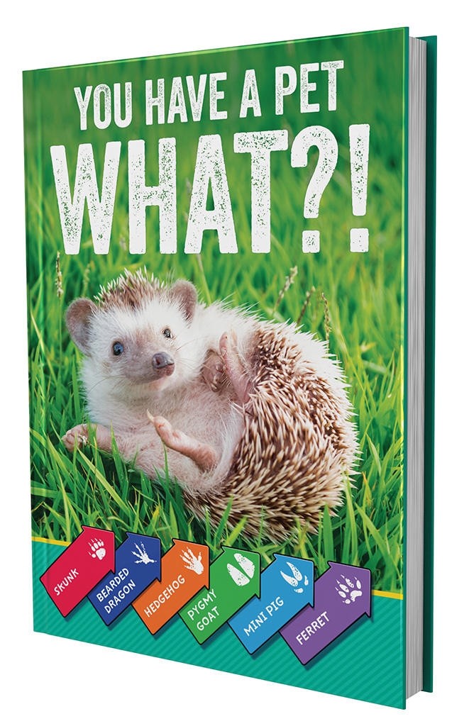 Carson Dellosa — You Have a Pet What?! Book for Kindergarten, 1st, 2nd ...
