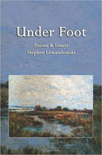 Under Foot by Stephen Lewandowski | Goodreads