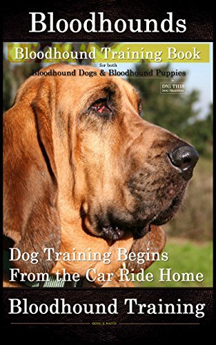 Bloodhounds, Bloodhound Training Book For both Bloodhound Dogs ...