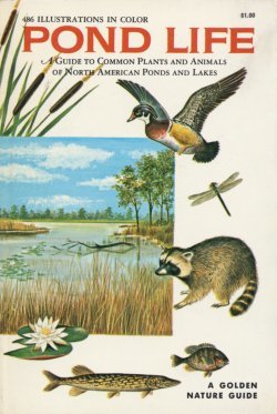 Pond Life: A Guide to Common Plants and Animals of North American Ponds ...