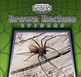 Brown Recluse Spiders (Dangerous Spiders) by Eric Ethan | Goodreads