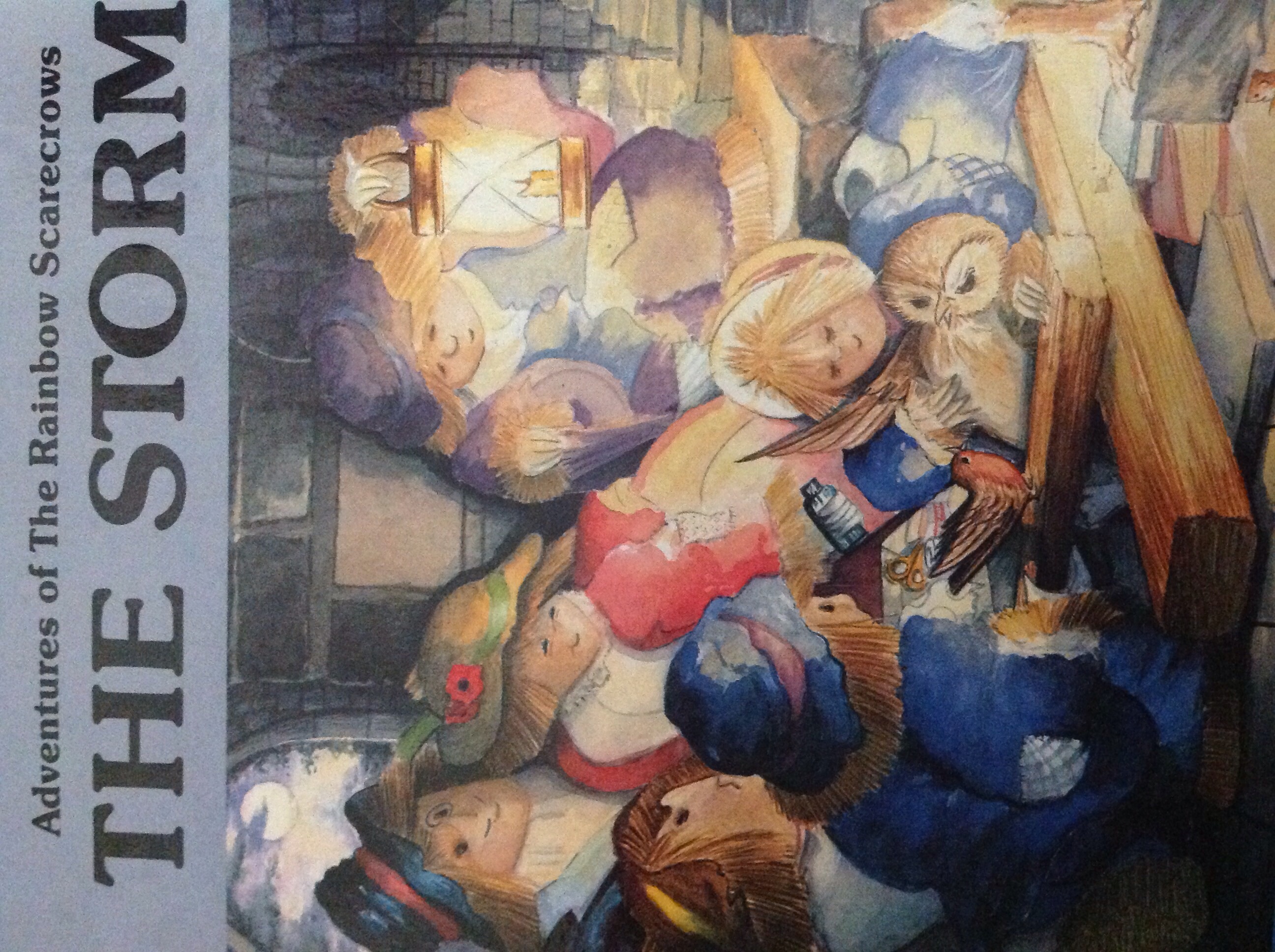 Adventures of the Rainbow Scarecrows - The Storm by Patsy Alan | Goodreads