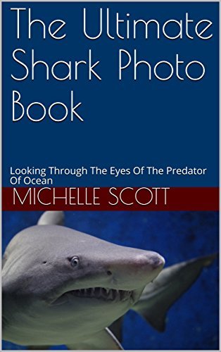 The Ultimate Shark Photo Book: Looking Through The Eyes Of The Predator ...