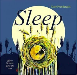 Sleep by Kate Prendergast | Goodreads