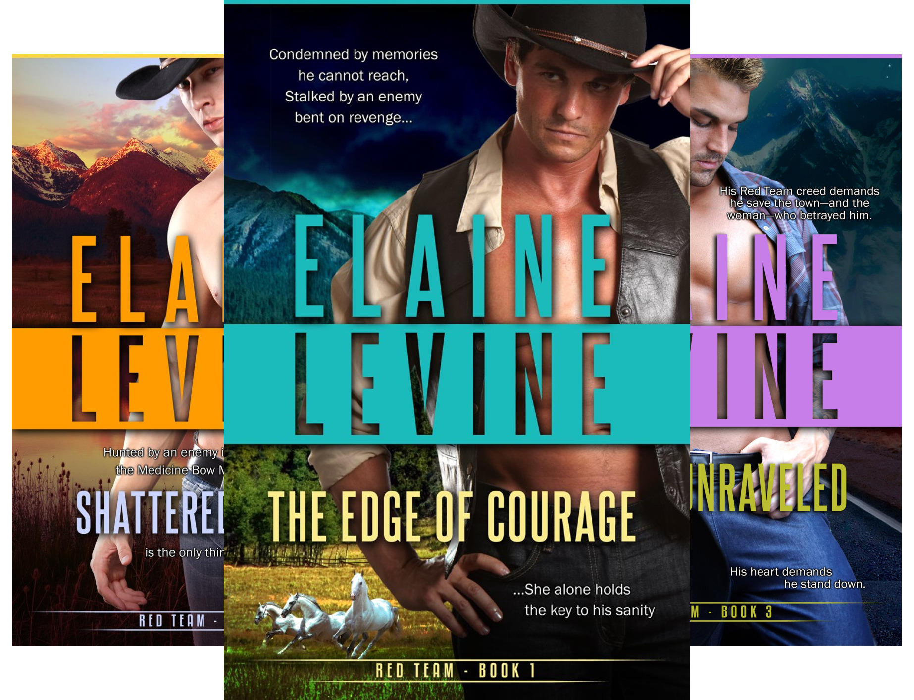 Red Team (14 Book Series) by Elaine Levine | Goodreads