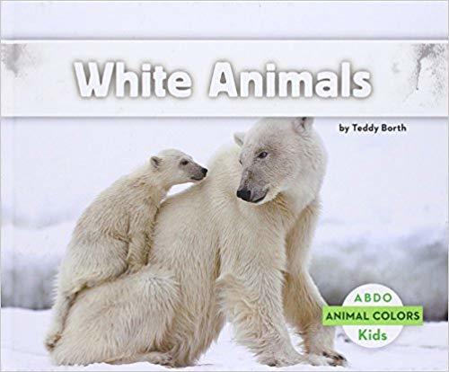 White Animals by Teddy Borth | Goodreads